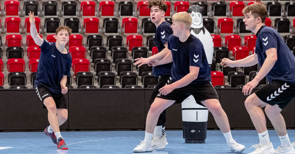 Academy - Handball-Academy Bern